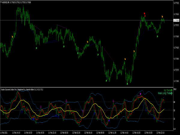 Dynamic Zone RSI Oscillator ⋆ Top MT5 Indicators {mq5 & ex5} ⋆ Best-MetaTrader-Indicators.com